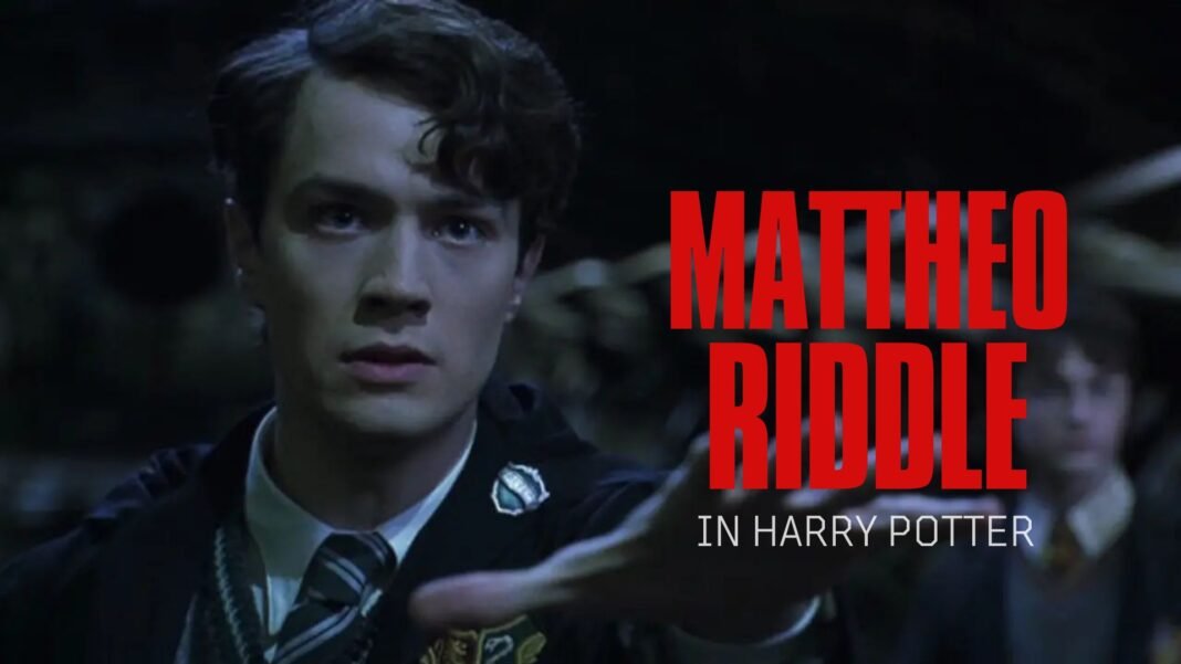 Mattheo Riddle Role In Harry Potter A Complete Character Story